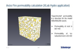 Application of Avizo Fire image processing for substances investigation ...