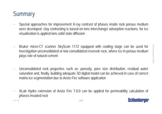 Application of Avizo Fire image processing for substances investigation ...