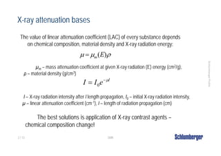 Application of Avizo Fire image processing for substances investigation ...