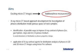 Application of Avizo Fire image processing for substances investigation ...