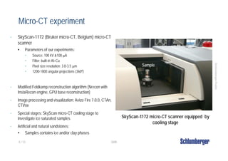Application of Avizo Fire image processing for substances investigation ...