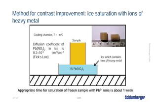 Application of Avizo Fire image processing for substances investigation ...