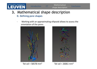A new 3D pore shape classification using Avizo Fire | PDF | Geology | Science