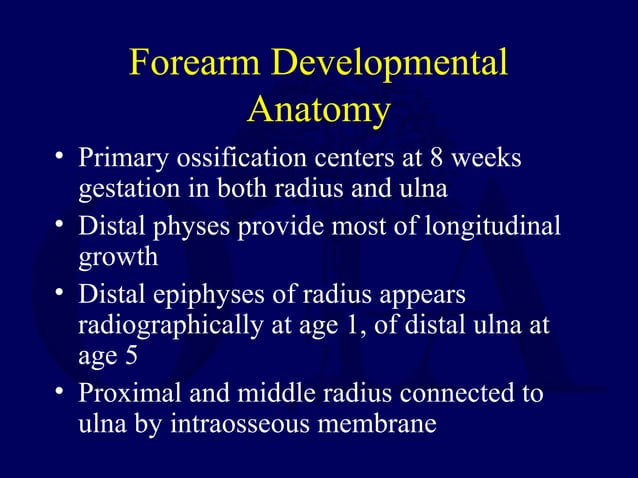 P06 pediatric forearm, hand | PPT