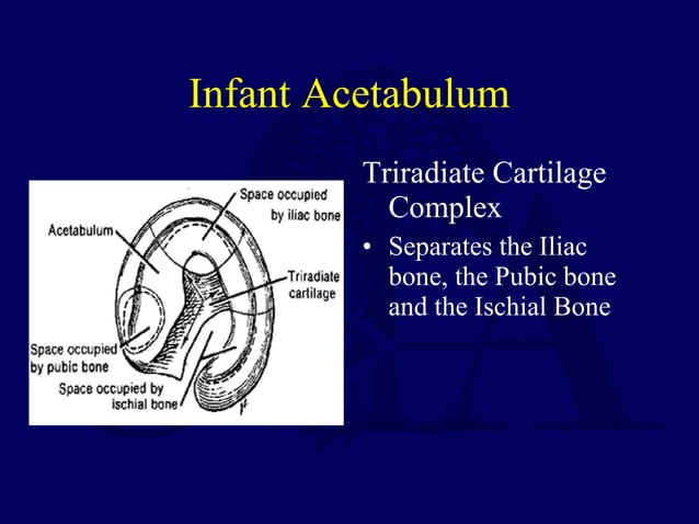 P07 pediatric pelvis, aceta | PPT | Free Download