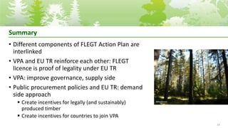 P07 flegt action plan | PPT