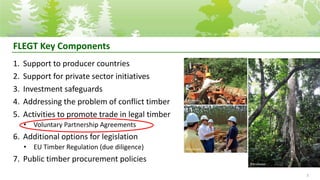 P07 flegt action plan | PPT