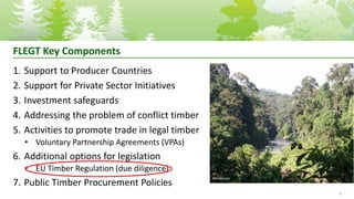 P07 flegt action plan | PPT