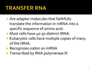 P0st transcrotnl modfn of t rna | PPTX | Chemistry | Science