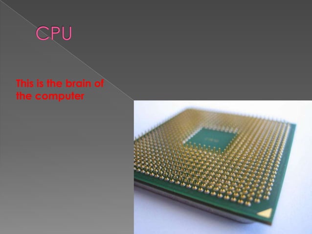 Computer components | PPTX | Computer Peripherals | Computing