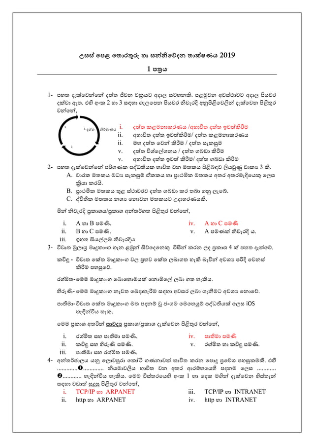 AL ICT Model Questions and Answers | PDF