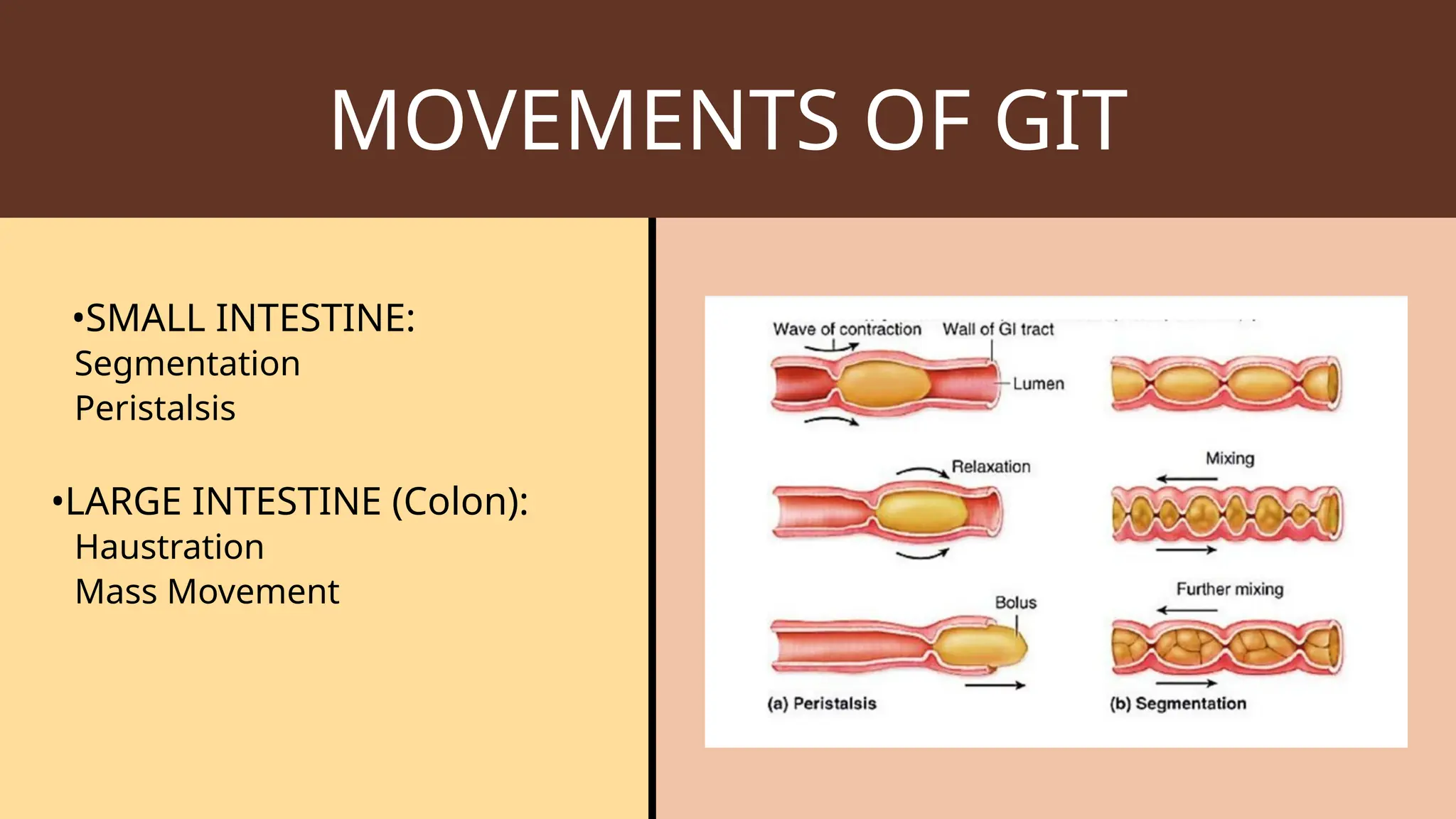 P1.B.3 GajshzhshhzjzjsjzjnjjjnnnIT .pptx