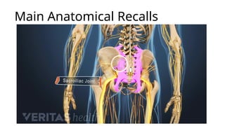 pelvis crescent fractures pelvis crescent fractures | PPT