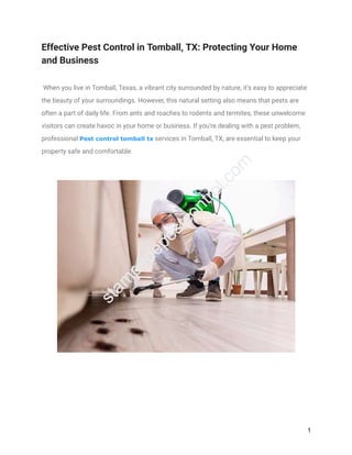 Pest Inspection Cost: Understanding What You Can Expect | PDF