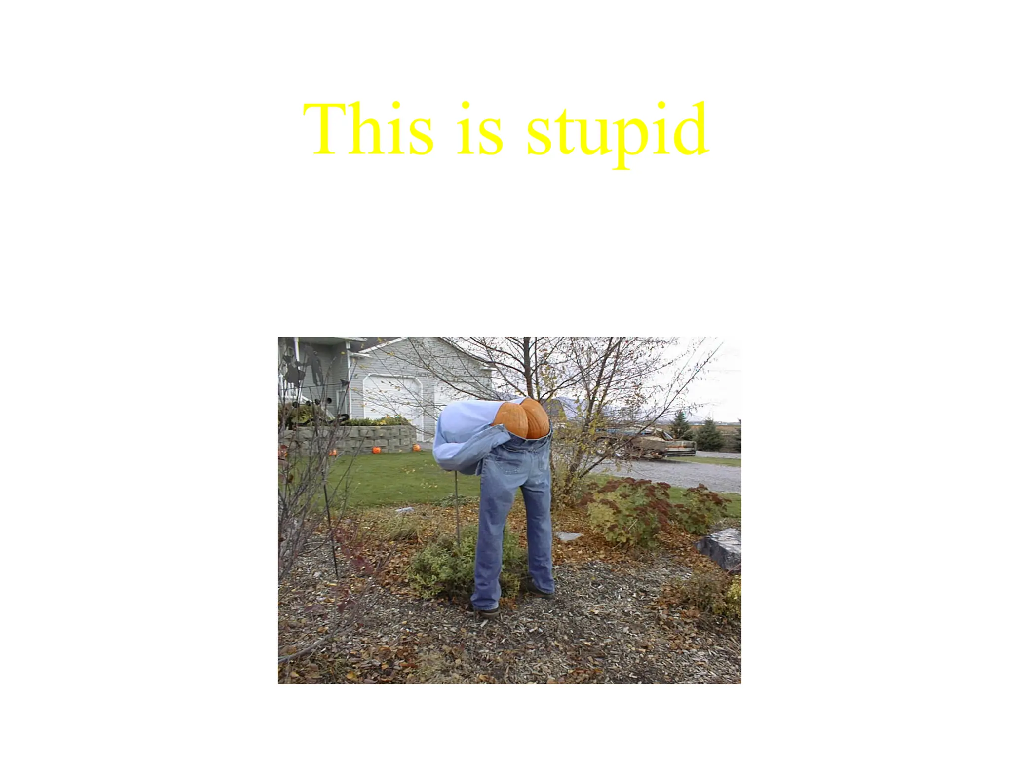 gf gfg hfgh fg jh gdhgdhgd ghdhg dhgd hg gh | PPT