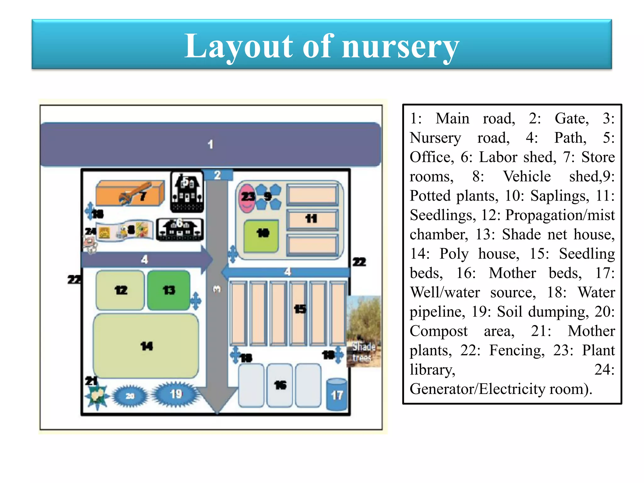 P1 nursery raising in vegetables | PDF