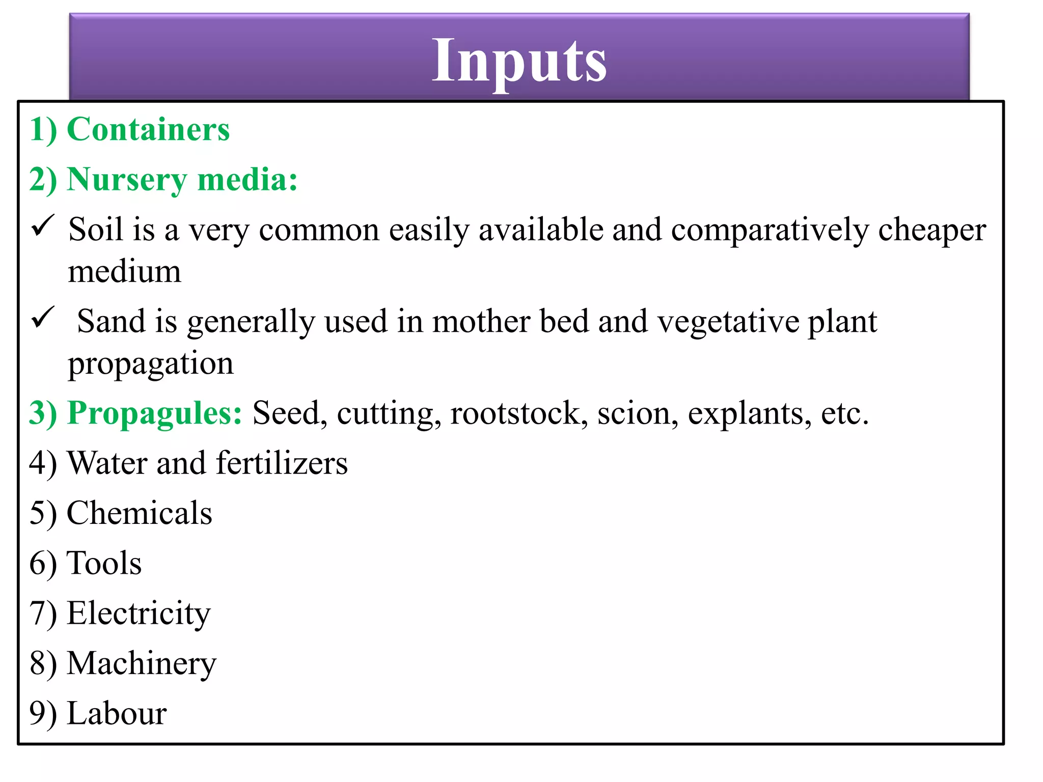 P1 nursery raising in vegetables | PDF