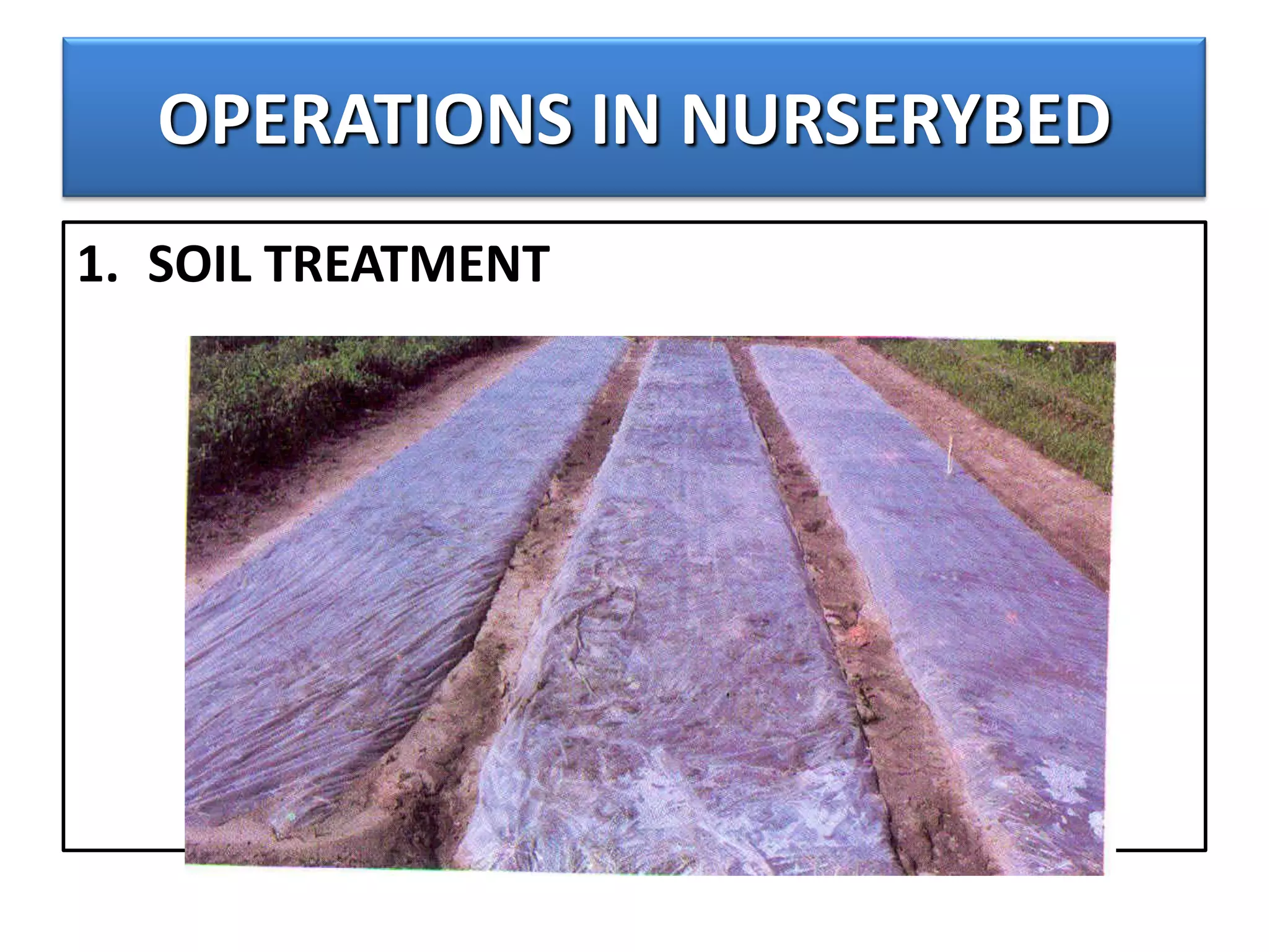 P1 nursery raising in vegetables | PDF