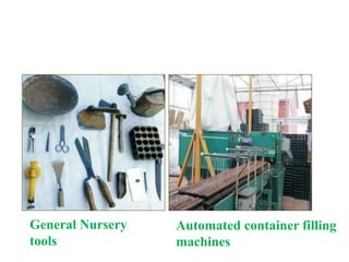 P1 nursery raising in vegetables | PDF