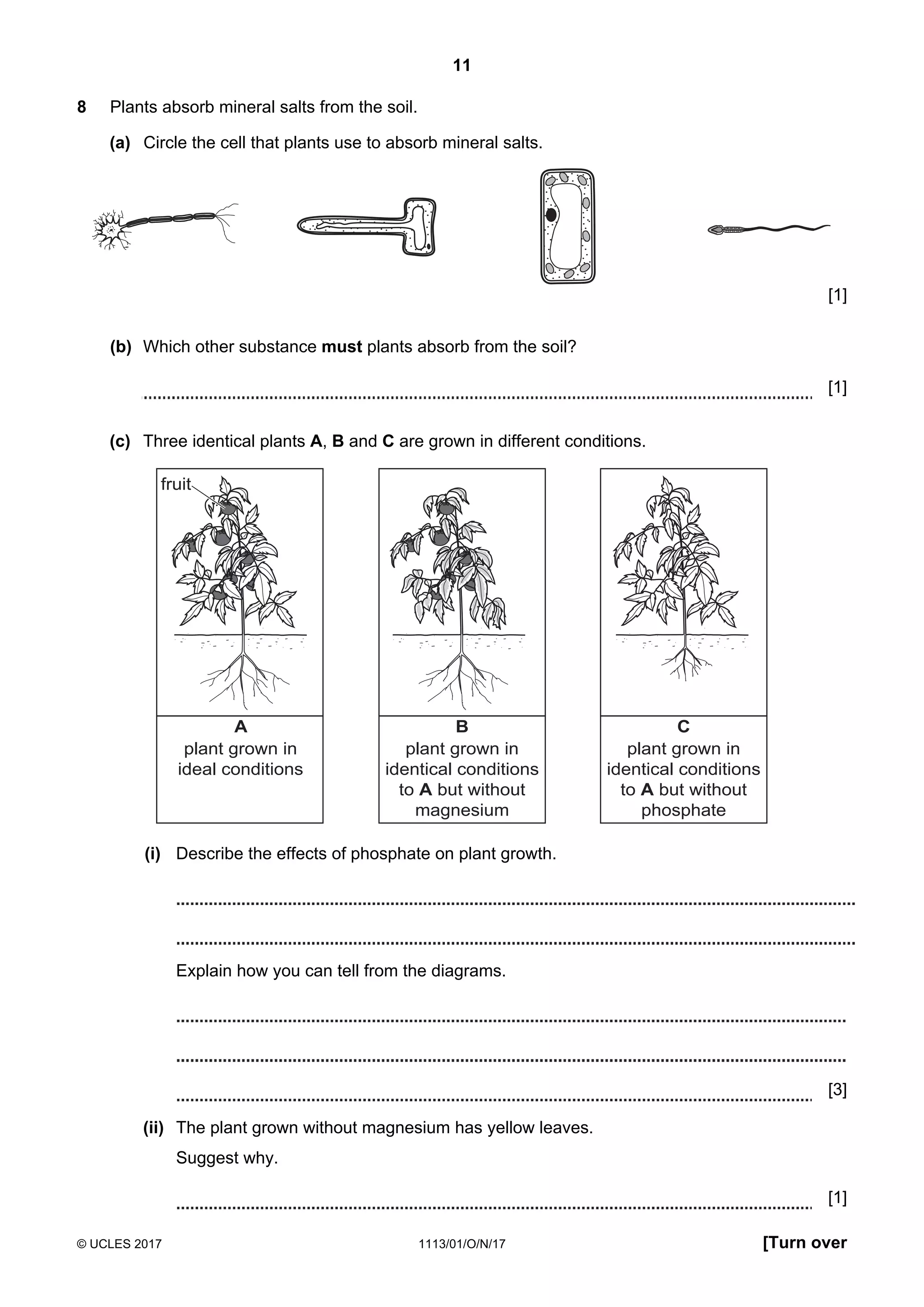 Checkpoint Lower Secondary Past Papers-P1 October-2017-science | PDF