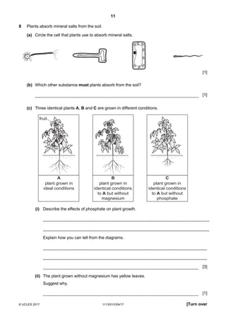 Checkpoint Lower Secondary Past Papers-P1 October-2017-science | PDF