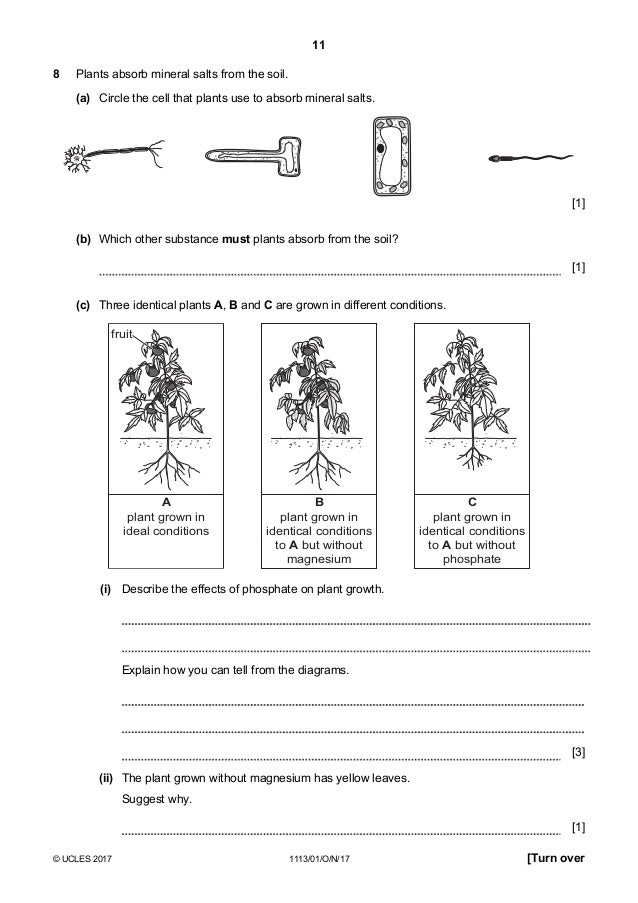 Pin On Past Papers Checkpoint Www vrogue co Pin On Past Papers Checkpoint Www vrogue co