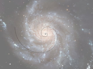 Understanding the Fibonacci Series - Visual Literacy & Graphic Design | PDF