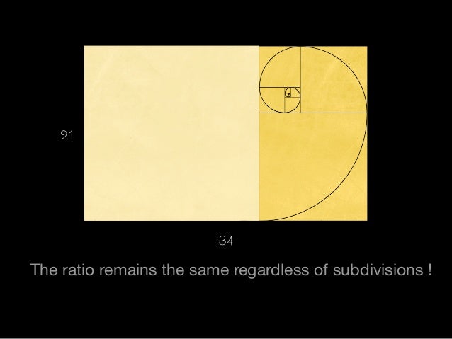 Understanding the Fibonacci Series - Visual Literacy & Graphic Design