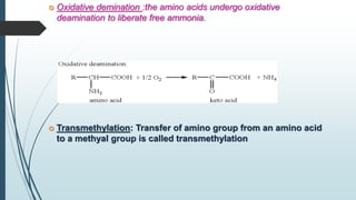 AMINO ACID | PPT