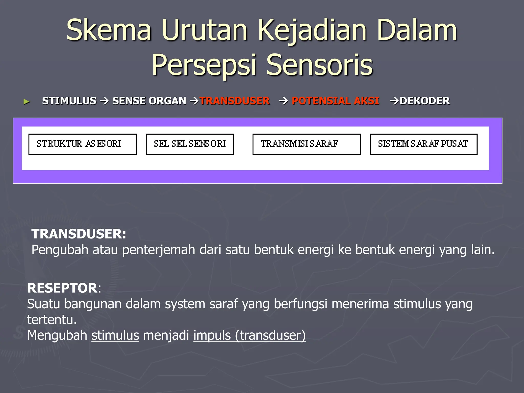 Paparan Fungsi Sistem Saraf Pada Manusia | PPT