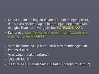 Paparan Fungsi Sistem Saraf Pada Manusia | PPT