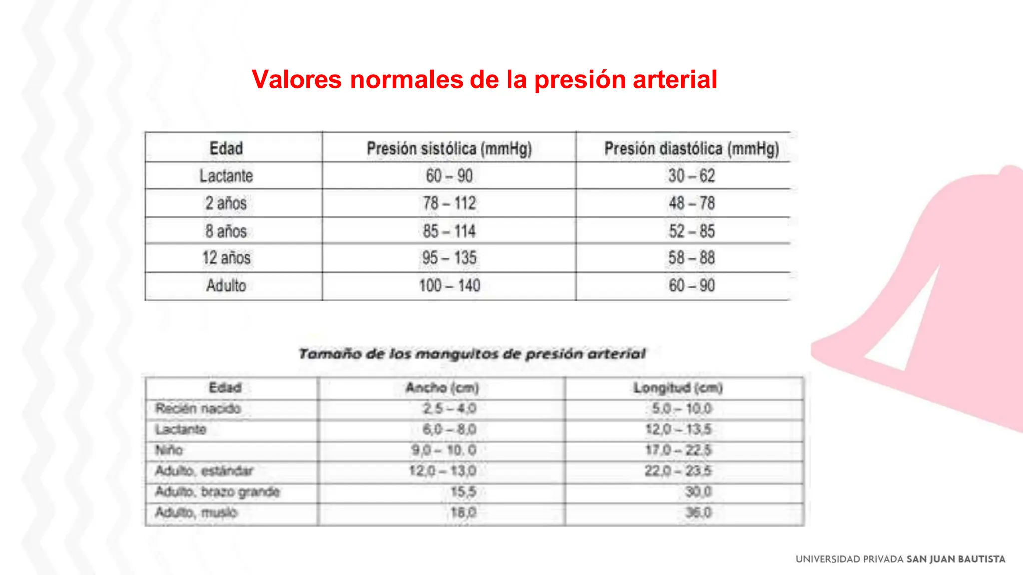 presion arterial desde el punto de vista fisico | PPT