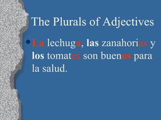 Chapter 3B -Plurals of Adjectives | PPT