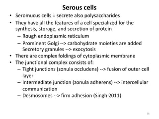 histology of the tongue and salivary gland | PPTX