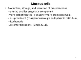 histology of the tongue and salivary gland | PPTX