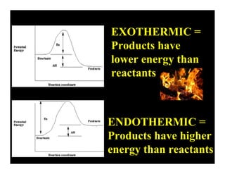 Endothermic Vs Exothermic Reactions