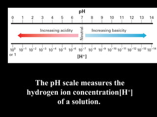 Lecture 19.2- pH | PPT