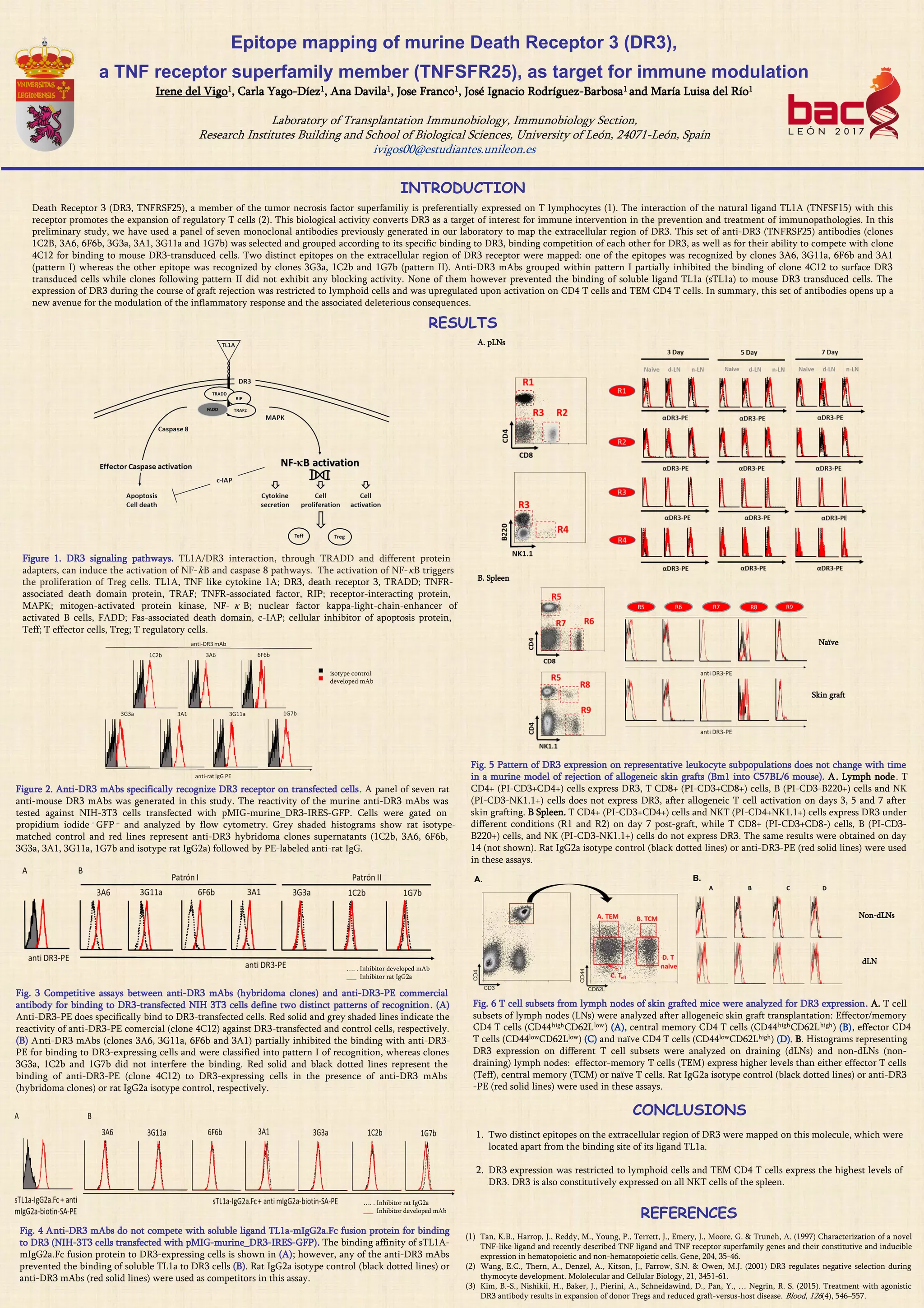 Epitope mapping of murine Death Receptor 3 (DR3), a TNF receptor ...