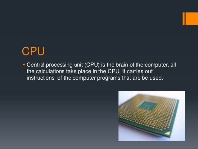 P1 computer components