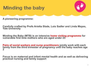 Minding the Baby: An Inter-Disciplinary Reflective Parenting Programme ...
