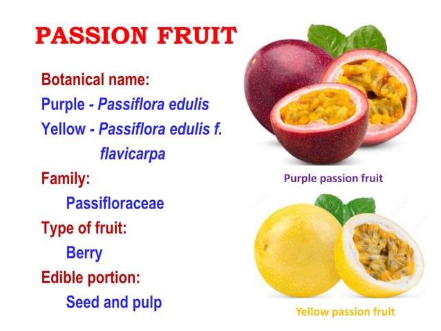 P1 Fruits diagrams 2023.ppt