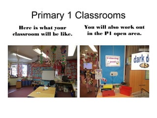 P1 induction comely park | PPT