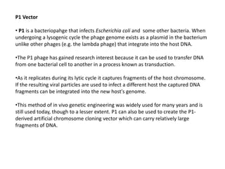 P1, mac and pac vector | PPTX