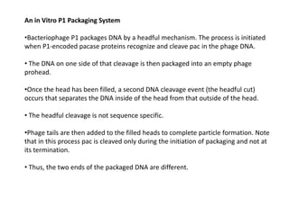 P1, mac and pac vector | PPTX
