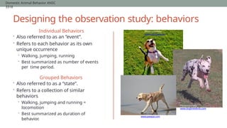 P#1 Methods of assessing Behavior 2.pptx