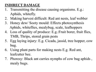 P1 Nature of damage and symptoms.pptx