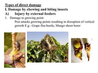 P1 Nature of damage and symptoms.pptx