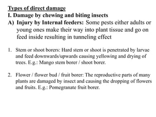 P1 Nature of damage and symptoms.pptx