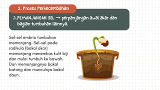 P1_PERKECAMBAHAN (SEED GERMINATION)_DJINGGA KLS 5.pdf
