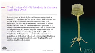 P1 phage .pdf